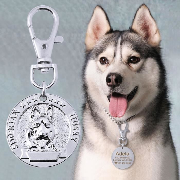 Étiquette d'identification du chien, plaque de nom à graver avec le nom ...