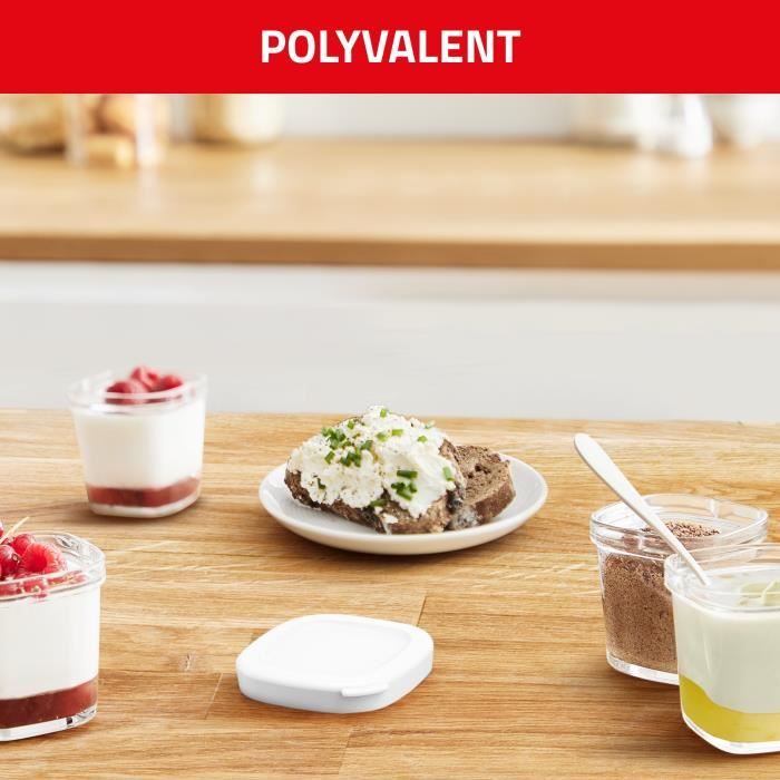 SEB Multi Delices Express Vegetal, Yaourtière, 6 pots, Programme ...