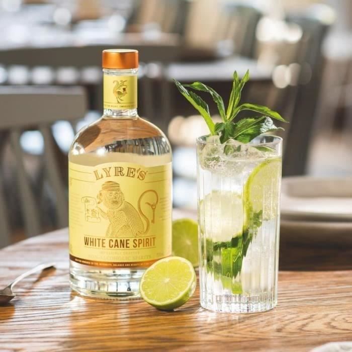 Lyre'S - White Cane Spirit - Rhum blanc Sans alcool - 70 cl - Cdiscount ...