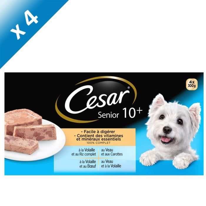 CESAR Barquettes en terrine - 4 variétés - Pour chien senior - 4 x 300 ...