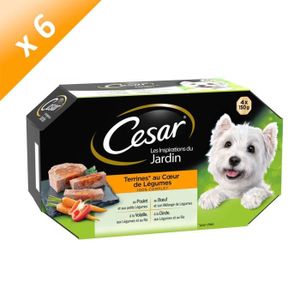 Wet chien barquette volaille x11 - Cdiscount