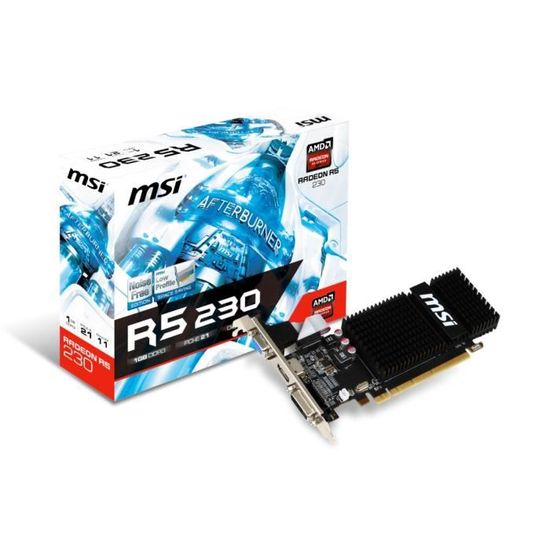 MSI Carte graphique AMD Radeon R5 230 1Go GDDR3 - Cdiscount Informatique