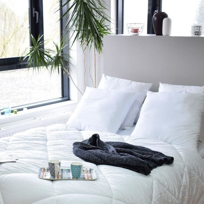 Lot de 2 oreillers greencare - 60 x 60 cm - BLEU CALIN - Blanc ...