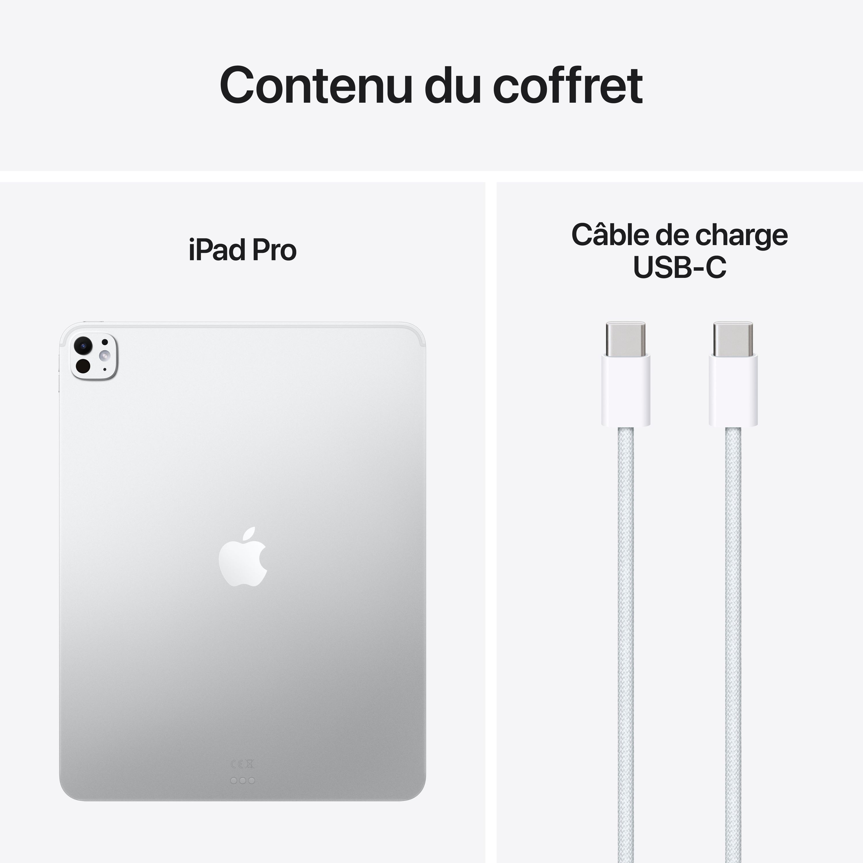 APPLE - iPad Pro M5 - 13" - Wi-Fi - 256 Go - Verre standard - Silver ...