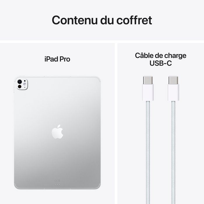 APPLE - iPad Pro M5 - 13" - Wi-Fi + Cellular - 256 Go - Verre standard ...