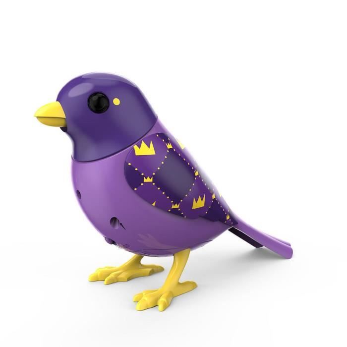 DIGIFRIENDS DigiBird + Bague Royal Collection 2 - Cdiscount Jeux - Jouets
